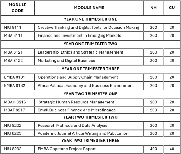 Executive MBA - Nexus International University