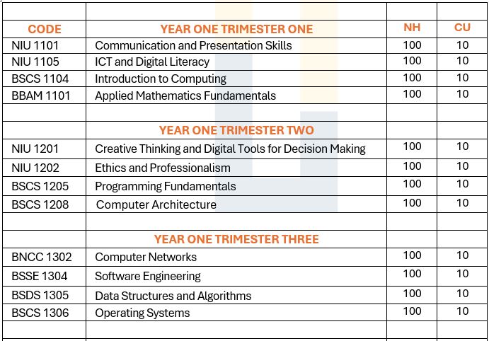 Bachelor of Science in Data Science - Nexus International University