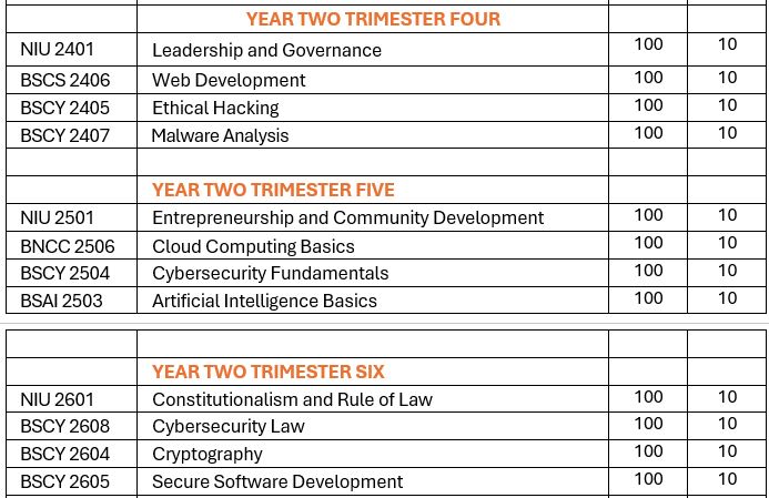 Bachelor of Science in Cyber Security - Nexus International University